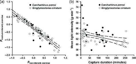 Correlations Between Possible Explanatory Exercise Metrics Proportions Download Scientific