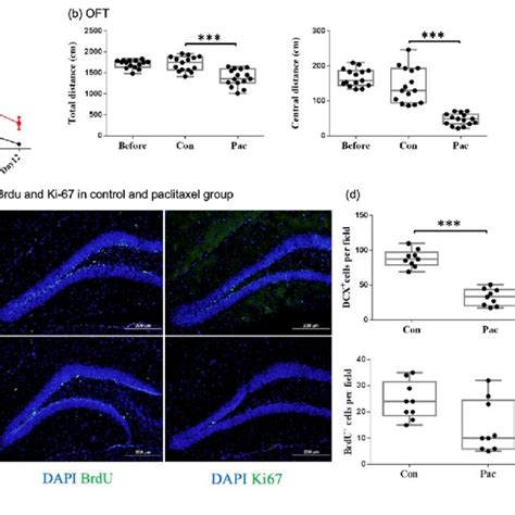 Behavioral Tests And Neurogenesis Assessment After The Paclitaxel