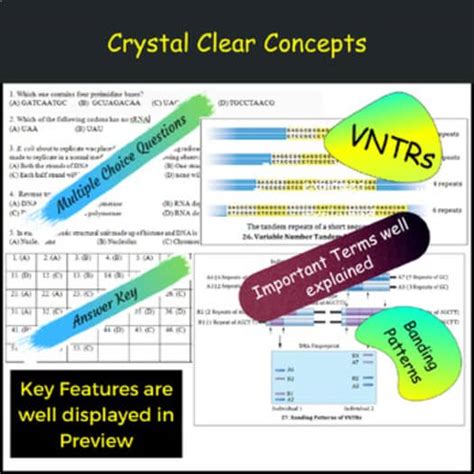 Dna Rna Protein Synthesis Powerpoint Notes And Ap Biology Review Questions Mcqs
