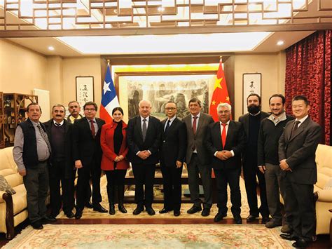 徐步大使会见智利共产党主席特列尔