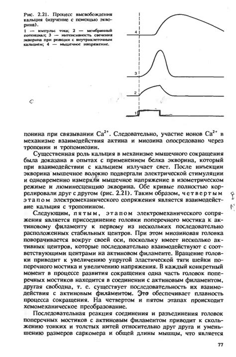 Физиология человека. Том 1 - Покровский В.М., Коротько Г.Ф. - 1997