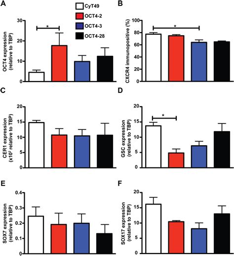 Differentiation Of The Definitive Endoderm Germ Layer Is Unaffected By Download Scientific