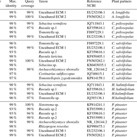 Cluster Dendrogram Using Average Linkage Between Groups Given By The