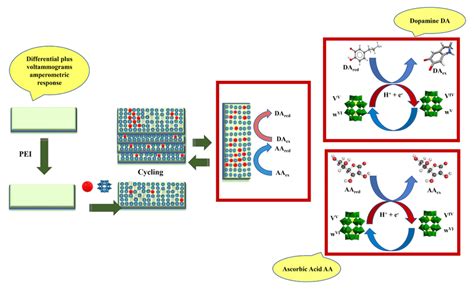 The Schematic Design Of The Layer By Layer Self Assembly Method