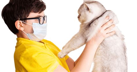 Allergy Detection Test ₹799 Healthcare Nt Sickcare