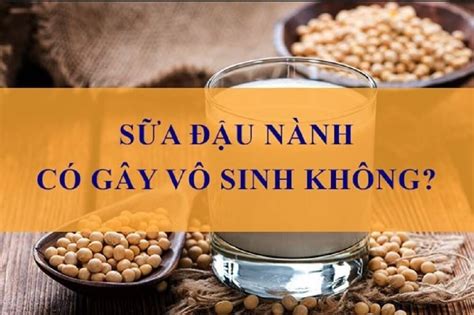 Giải đáp Uống Sữa đậu Nành Có Gây Vô Sinh Không