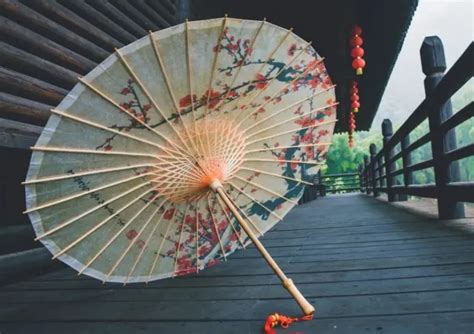 支付宝我国古代油纸伞的伞面涂的是什么油 蚂蚁庄园2023年5月4日每日一题答案 牛特市场