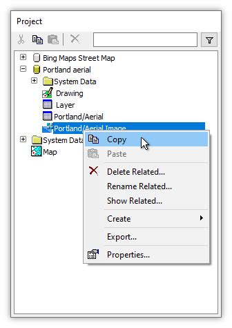 Example Raster Layers From An ArcGIS REST Image Server