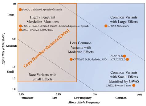 1 Shows An Infographic Showing The Categories Of Genetic Models Along