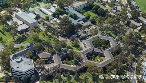 2025澳洲留学 盘点澳洲大学热门专业，实现职业生涯最优解！ 知乎
