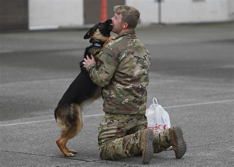 62d Aw Returns From Afforgen Deployment Team Mcchord Article Display