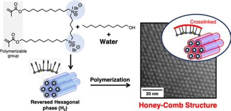 Phase Behavior And Polymerization Of The Ternary Polymerizable Cationic Gemini Surfactantfatty