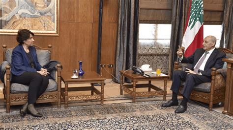 بري استقبل السفيرة الفرنسية وبحثا في الاوضاع العامة Lebanon News