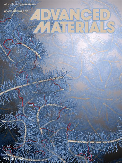 Elastomers Soft Poly Dimethylsiloxane Elastomers From Architecture‐driven Entanglement Free