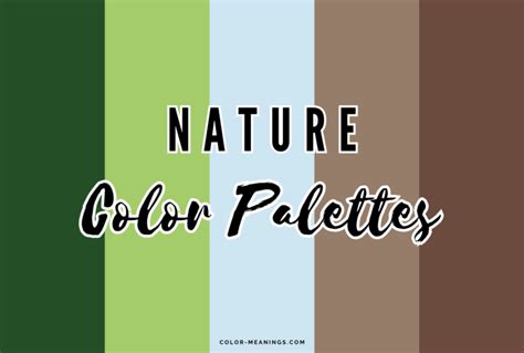 33 Nature Color Palettes For Lively Designs Color Meanings