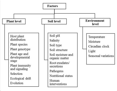 Factors Affecting Plant Microbe Interaction Download Scientific