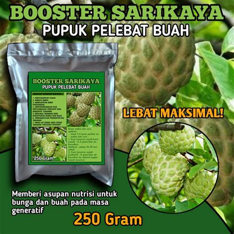 Jual Pupuk Booster Pelebat Buah Sarikaya Pupuk Perangsang Buah Nutrisi