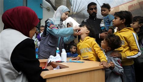 إصابة 6 فلسطينيين بعد قصف إسرائيلي على مركز للتلقيح في غزة موقع 24