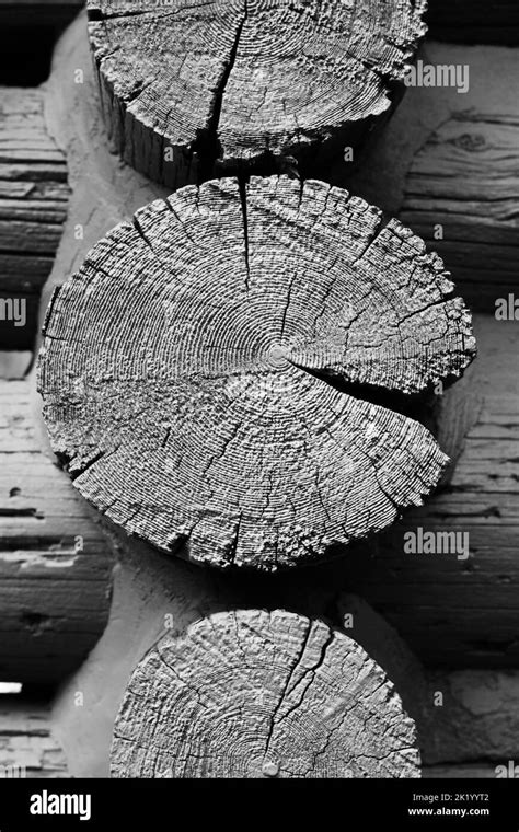 Corner Detail Of A Vintage Wooden Log Cabin Framework In A Black And