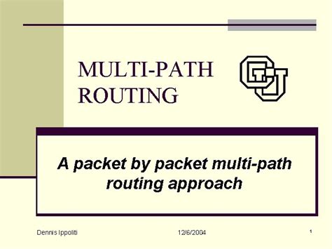 multipath routing a packet by packet multipath routing