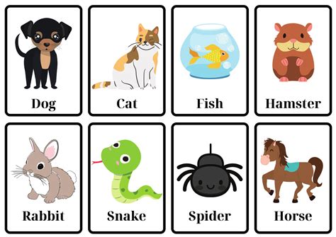Pet Flashcards Etsy España