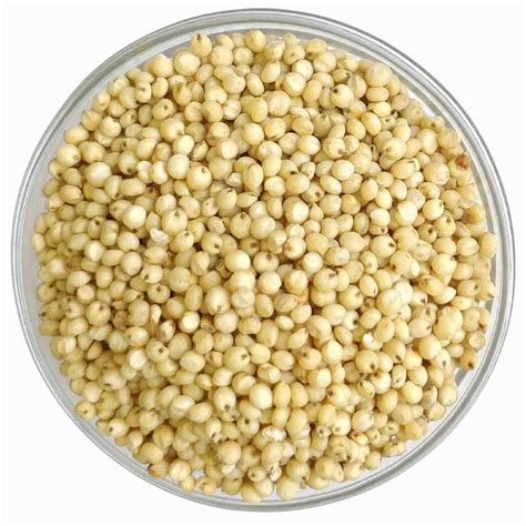 Millet Seed Sand Geology At Carmen Hurst Blog