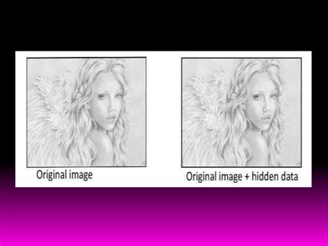 cryptography and steganography with watermarking pptx