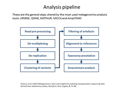 Metagenomics Pipeline Sixth Researcher