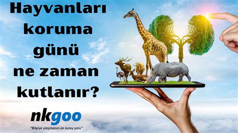 Hayvanları koruma günü ne zaman kutlanır Nkgoo