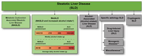 Masld And Fibroscan Liver Elastography Demystified Dr Pathik Parikh