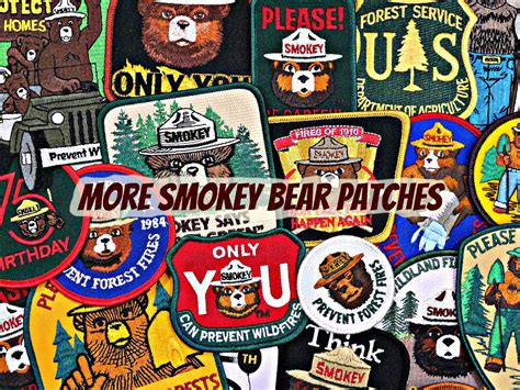 Smokey Bear Only You Can Prevent Wildfires Iron On Etsy