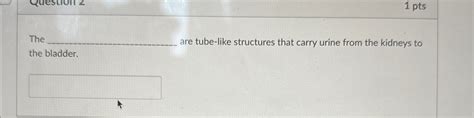 Solved T1 Ptsthe Bladder Are Tube Like Structures That Chegg