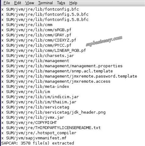 How To Update SAP Kernel Using Software Update Manager SUM SAP