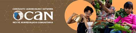 Solidarity Networks For Other Economies Women Building Other Economies