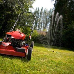 Cinco métodos eficaces para oxigenar la grama de tu jardín Cespedexpertos