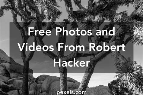 Robert Hacker Photography