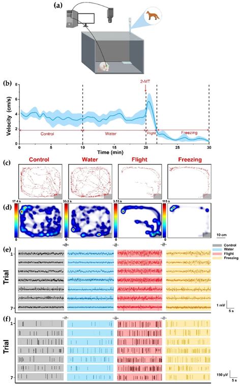 article biosensors mdpi