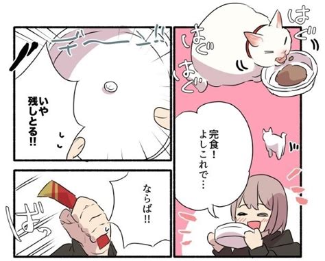 ＜画像6 17＞「薬は飲まん」 猫しか勝たん”戦いが笑える！猫と ちゅ～ ”のズブズブな関係にも注目【作者に聞く】｜ウォーカープラス