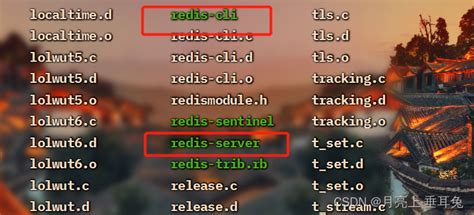 Redis介绍及可视化工具安装详解及redis基础指令（小白）redis可视化工具安装 Csdn博客