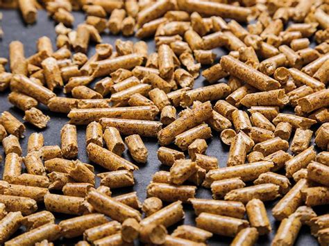 غذای ماهی قرمز کوچک؛ طبیعی صنعتی حاوی پروتئین Carbohydrate آراد برندینگ