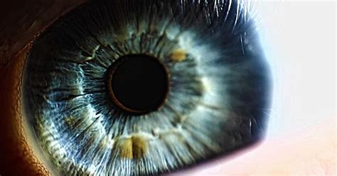 Reverse Lens Macro Photography My Eye Album On Imgur