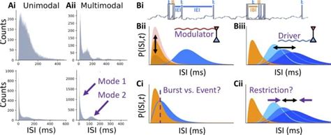 Neural Burst Codes Disguised As Rate Codes Lifeboat News The Blog