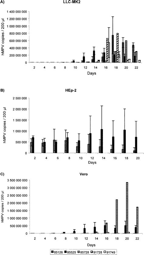 Replication Kinetics Of Five Hmpv Strains Over A Period Of 22 Days As