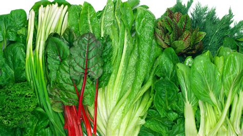 32 Foods That Burn Belly Fat Fast Based On Science Altinify