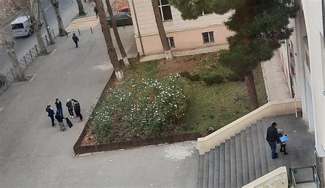 სსიპ დავით სარაჯიშვილის სახელობის ქალაქ თბილისის N16 საჯარო სკოლა Tbilisi