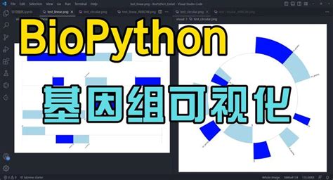 10 Biopython 基因组可视化 知乎