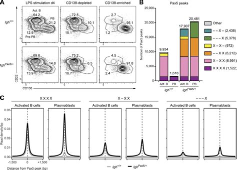 Pax5 Binding Patterns In Sorted Activated B Cells And Plasmablasts A