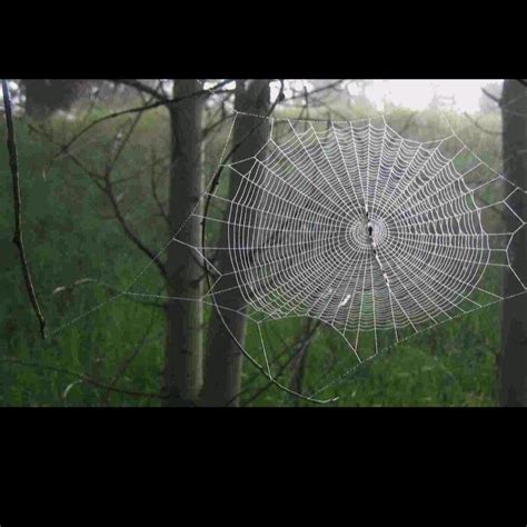 Samuel Adedeji On Linkedin Bebusinesssmart Entrepreneurship Building Money Workinghours