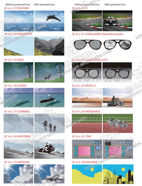Small Polarization Sunglasses Tester Invisible Effect