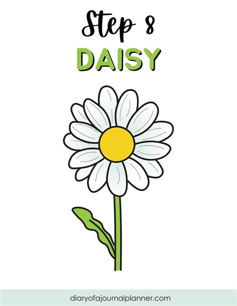 How To Draw A Daisy Doodle